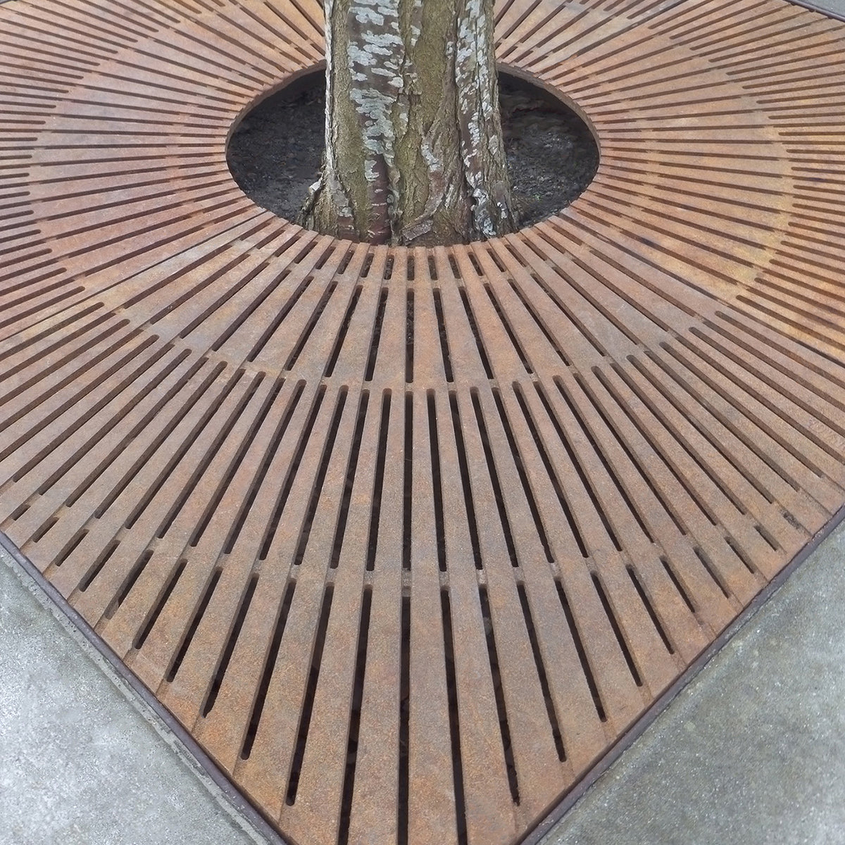 CORONA 4' x 4' Heel Proof Tree Grate – NorthStarIndustries